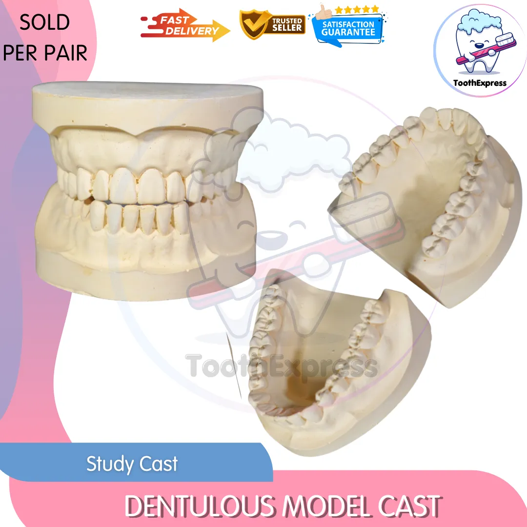 ToothExpress2022 | Premium Dentulous and Edentulous Cast Set for ...