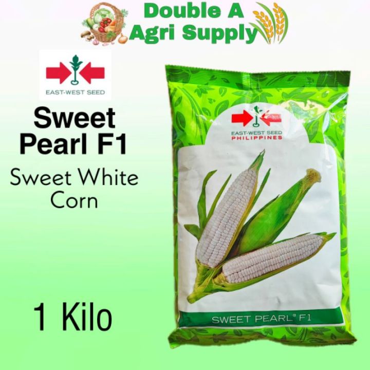 Sweet Pearl F1 Hybrid White Corn - East West Seed | Lazada PH