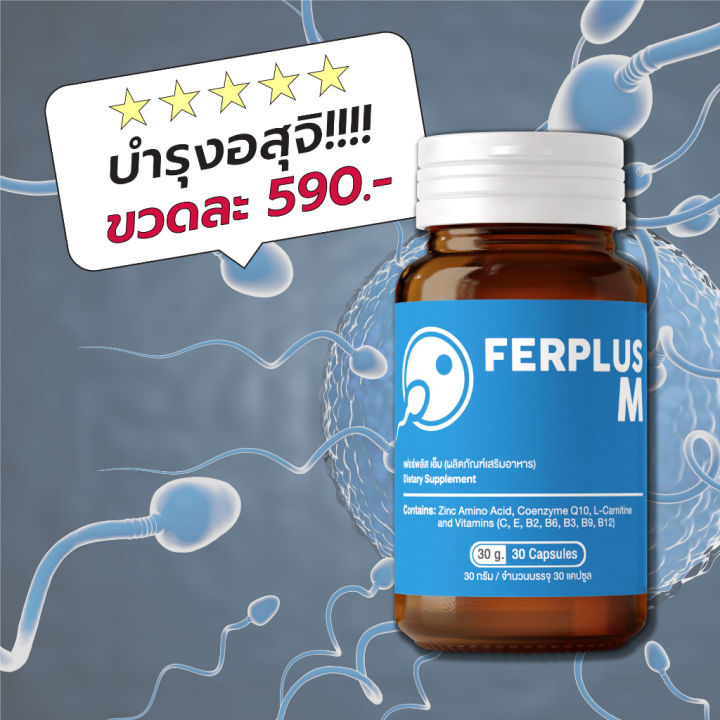 ของแท้ พร้อมส่ง บำรุงอสุจิ เพิ่มสมรรถภาพ วางแผนมีบุตร Ferplus M | Lazada.co.th