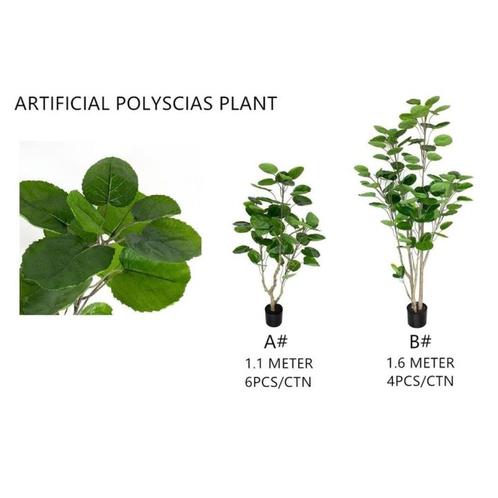 Pokok Polyscias Plant | Pokok Duit Palsu | Pokok Tiruan Hiasan Rumah ...