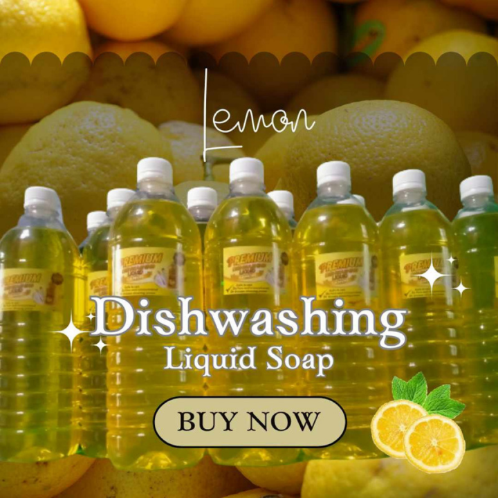 1 Bottle Premium Quality Dishwashing Liquid Soap (Lemon Scent) | Lazada PH