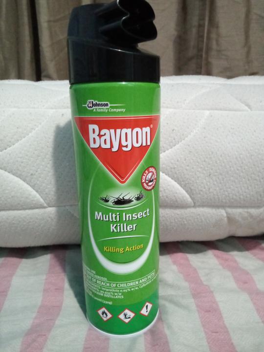 Baygon Multi Insect Killer Spray - 500 ml | Lazada PH