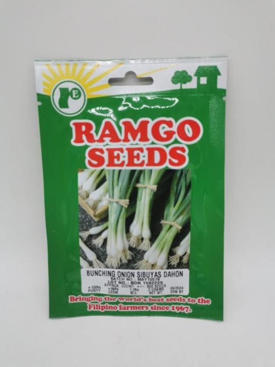 RAMGO BUNCHING ONION SIBUYAS ONION SEEDS ( ORIGINAL GARDEN PACK ...