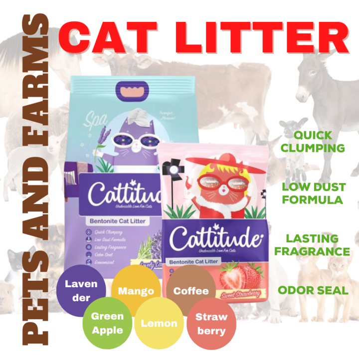 CATTITUDE PREMIUM CAT LITTER BENTONITE CAT LITTER 10 LITERS | Lazada PH