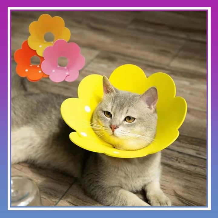 Happy Pet Msia READY STOCK EVA Soft Material Cat Elizabeth Collar ...