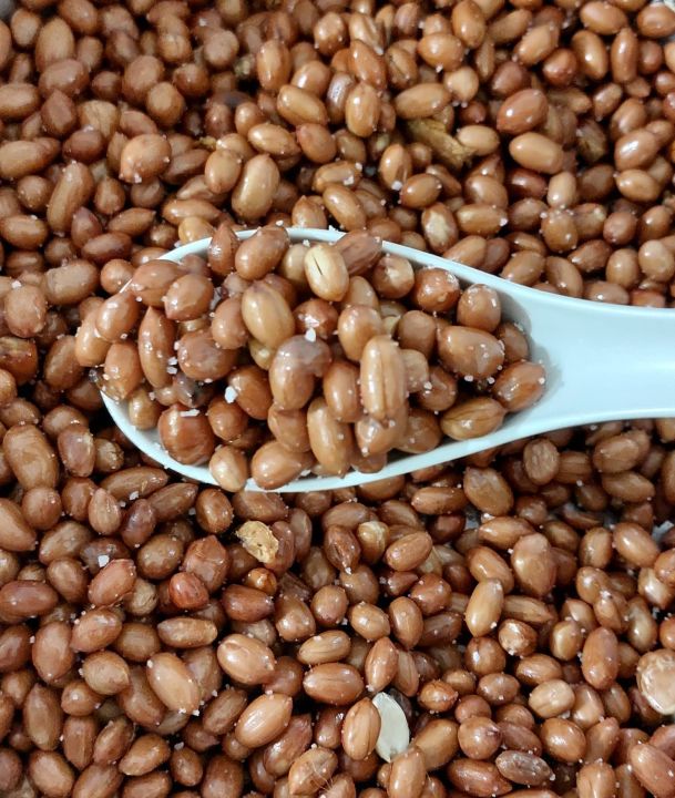 Salted Peanut Adobong Mani Malinamnam At Masarap 180 Grams Lazada Ph