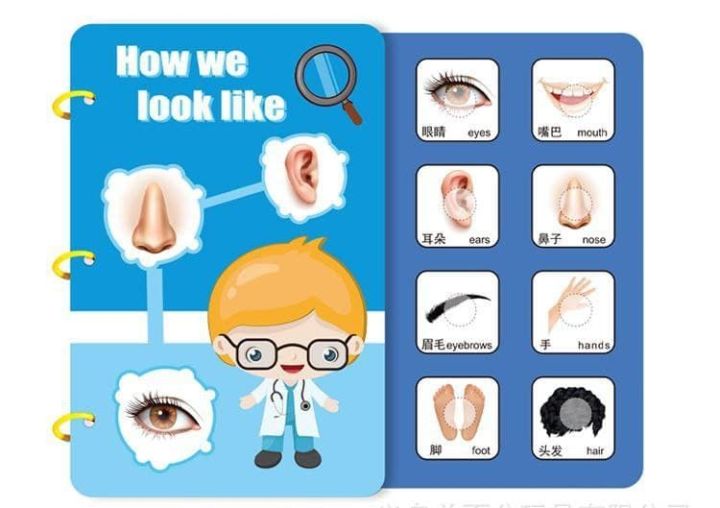 BYJ Quiet Book Early Leaning Pairing Shapes Body Vehicle Colors Numbers ...