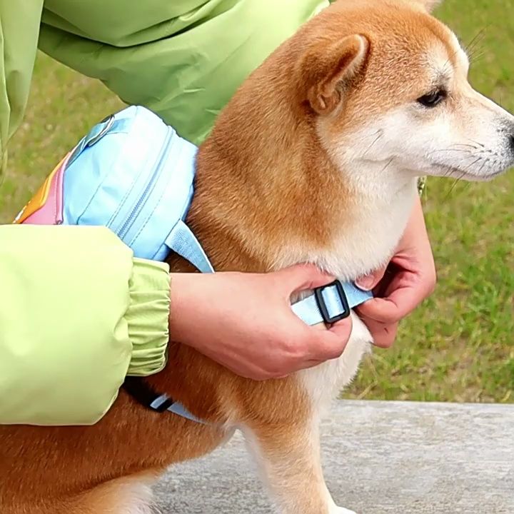 Pet Puppy Backpacks With Leash Bulid-in Poop Bag Dispenser No-Pull ...