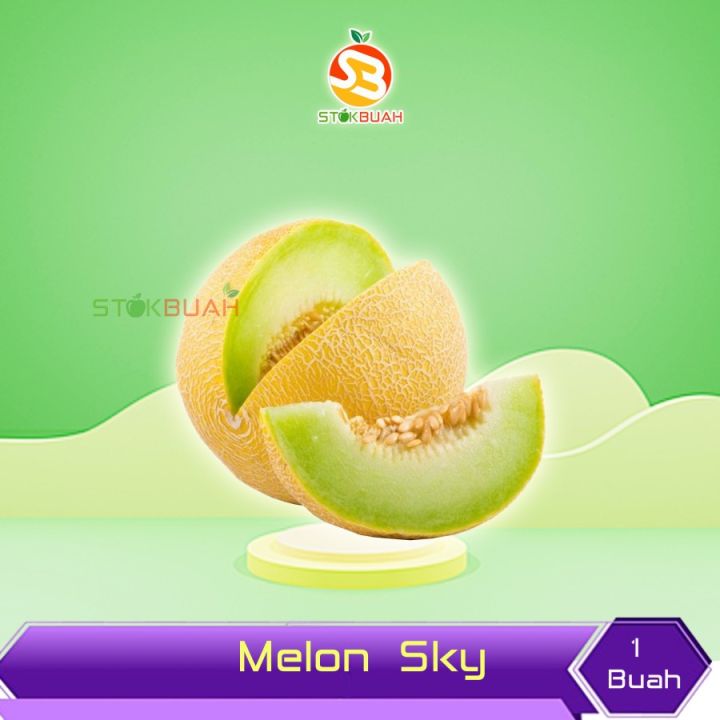 Melon Madu / Melon Sky Rocket | Lazada Indonesia