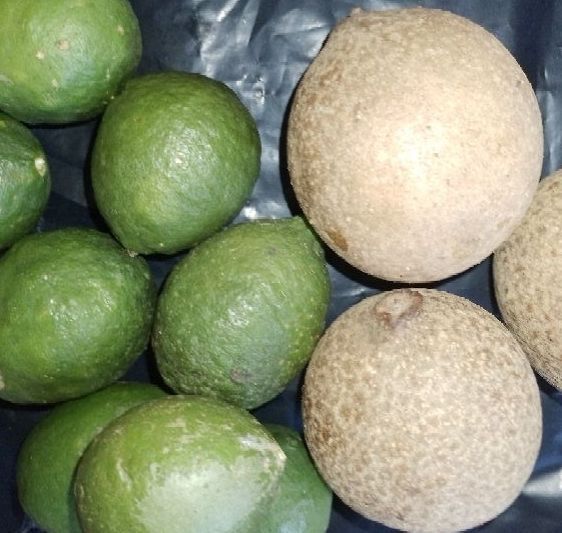 Biasong /Suha 2pcs & Tabon-tabon 2pcs for fresh Tuna Kinilaw | Lazada PH