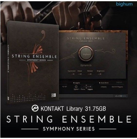 KONTAKT Symphony Series - String Ensemble ( win/Mac ) ( ทักแชท Read chat ) | Lazada.co.th