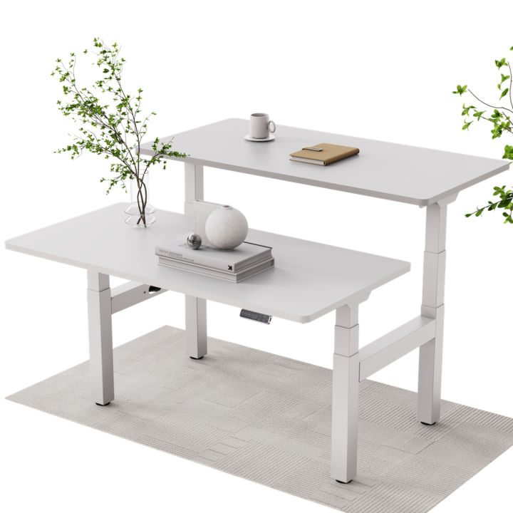 ErgonMan Computer Table Dual Benching Height Adjustable Table Standing ...