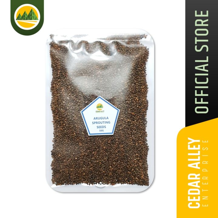 Arugula Sprouting Seeds / Arugula Microgreen Seeds | Lazada PH