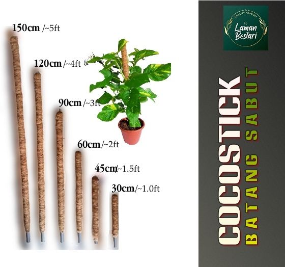 Ready Stock !!! CocoStick. Coco Stick for Climbing Plant . Coco Fiber ...
