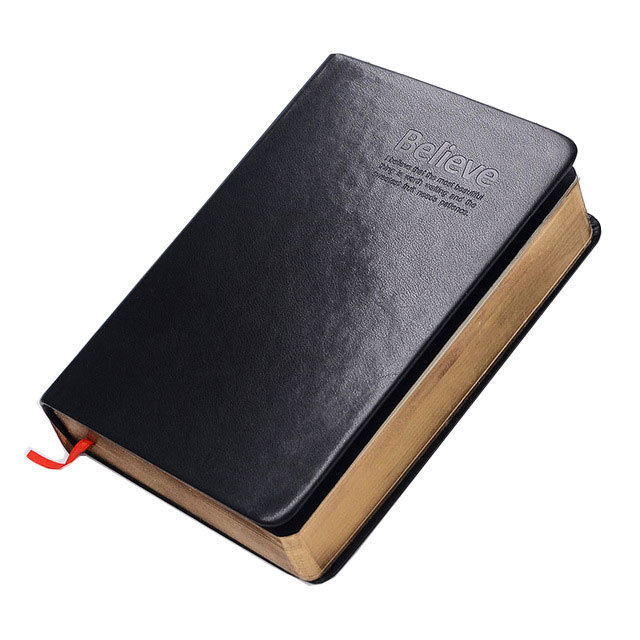 Super Thick A6 Notebook Blank Paper Hard Cover 480 Pages Diary ...