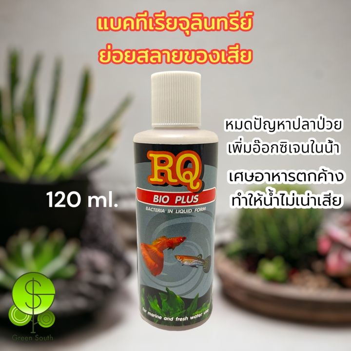 RQ BIO PLUS ไบโอพลัส แบคทีเรียน้ำ ย่อยสลายของเสีย เศษอาหารตกค้าง ขนาด ...