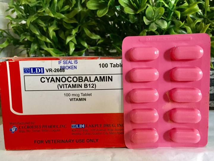 LDI Vitamin B12 tablets (10 tablets) | Lazada PH