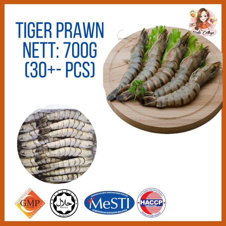 Premium Tiger Prawn/Udang Harimau 1kg 26/30pcs+- | Lazada