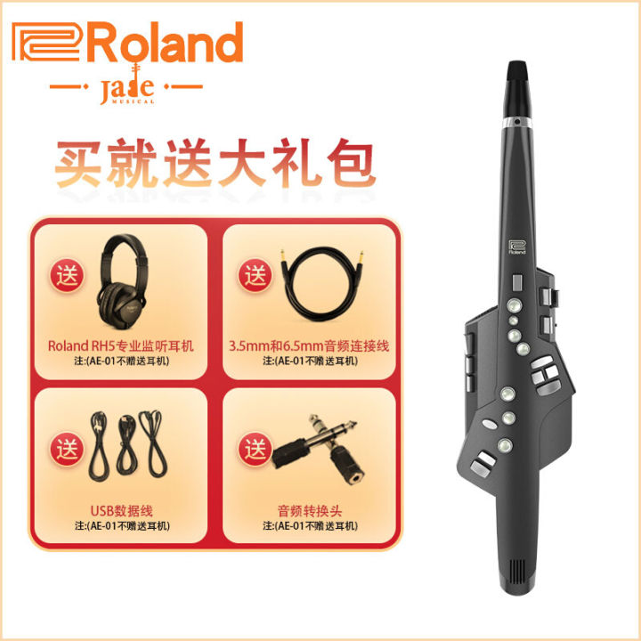 Authentic Roland Roland electronic wind instrument ae10/30/05/01 ...