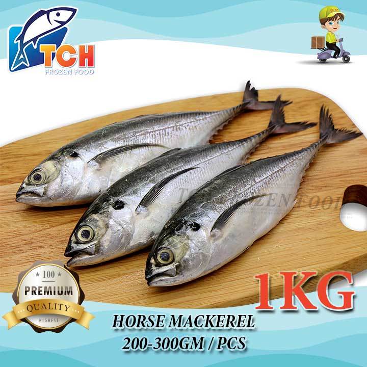 IKAN CENCARU, HORSE MACKEREL , CARU, TCH FROZEN FOOD, FRESH FROZEN ...
