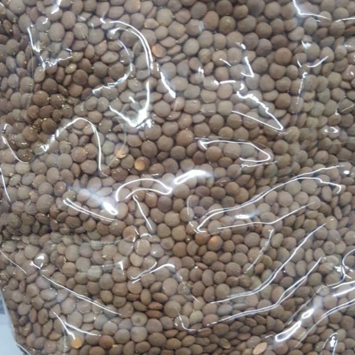 Kacang Masoor Dal Repacking 500gr ( dengan Kulit ) | Lazada Indonesia
