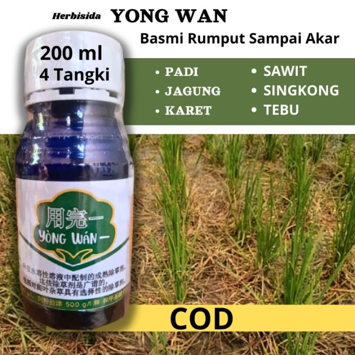 YONGWAN / YONG WAN HERBISIDA RACUN RUMPUT GULMA AMAN PADA TANAMAN PADI ...