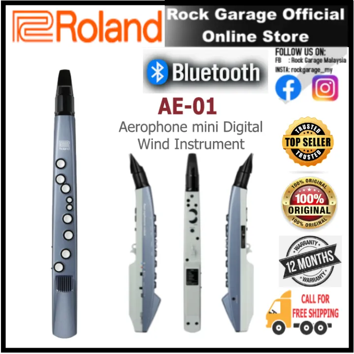 Roland Aerophone AE-01 Mini Digital Wind Instrument (AE01/AE 01) | Lazada