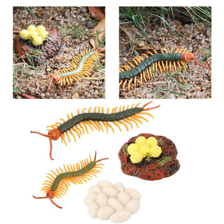 【Value Bundle】 4 Stages Life Cycle Of A Centipede Centipede Toy Figure ...