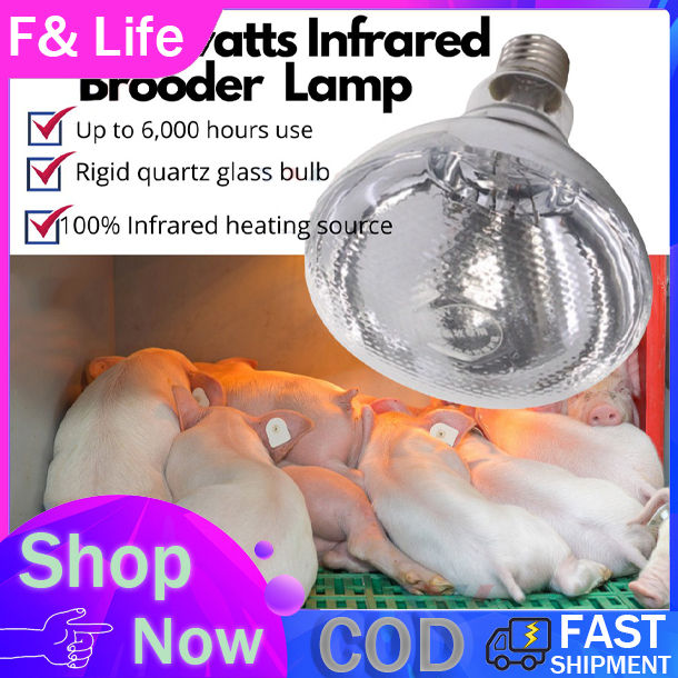 【Buy1 Take1】F&Life Infrared Heat Lamp Bulb 100 watts for animals PETS PIGLETS CHICKS Livestock ...