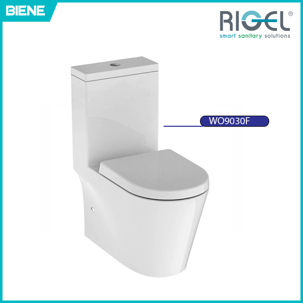 RIGEL WO9030S Whirlwash One-piece Back-to-Wall S-trap 3" to 10 ...