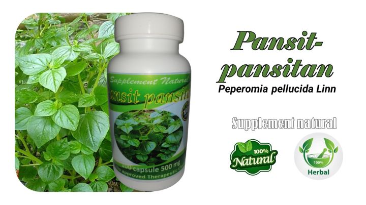pancit pansitan traditional herbal medicine, prostate management ...