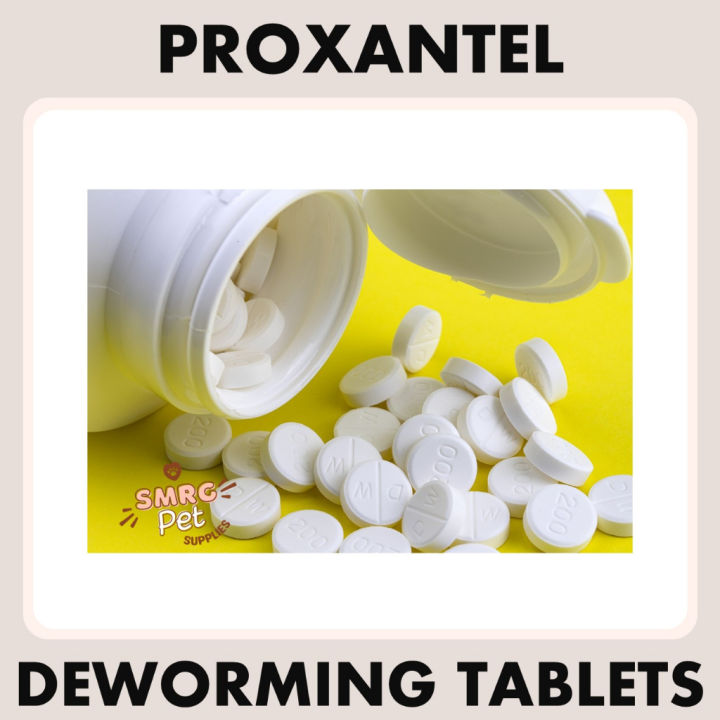 Proxantel Dewormer Tablet for Dogs and Cats Per Tablet | Lazada PH