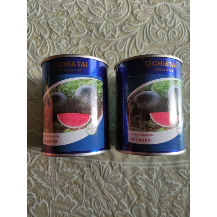 Chia Tai Predator F1 watermelon 100grams | Lazada PH
