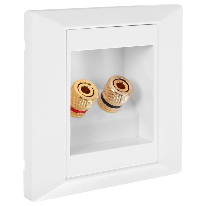 Wall Socket Connection Port with 2 Jack Speaker White | Lazada PH