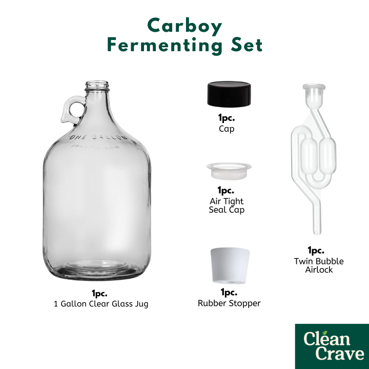 Clean Crave Glass Carboy Fermenting Jug with Handle (1 Gallon) w/ Twin ...