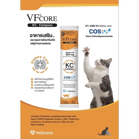 VFcore KC Complex (สีส้ม) ช่วยบำรุงไตแมว kidney care VF core อาหารเสริมบำรุงไตแมว | Lazada.co.th