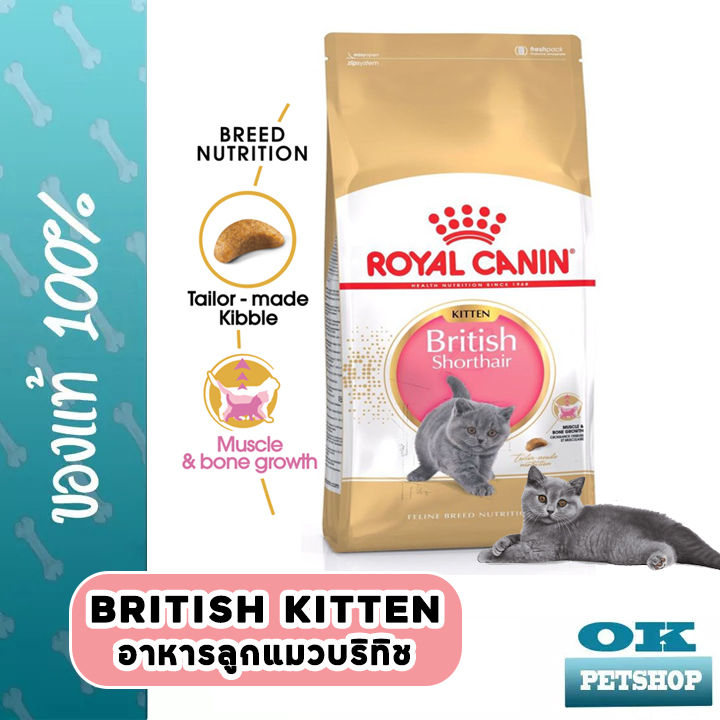 Royal canin British Shorthair Kitten 2 KG อาหารสำหรับแมวเด็กพันธุ์ ...