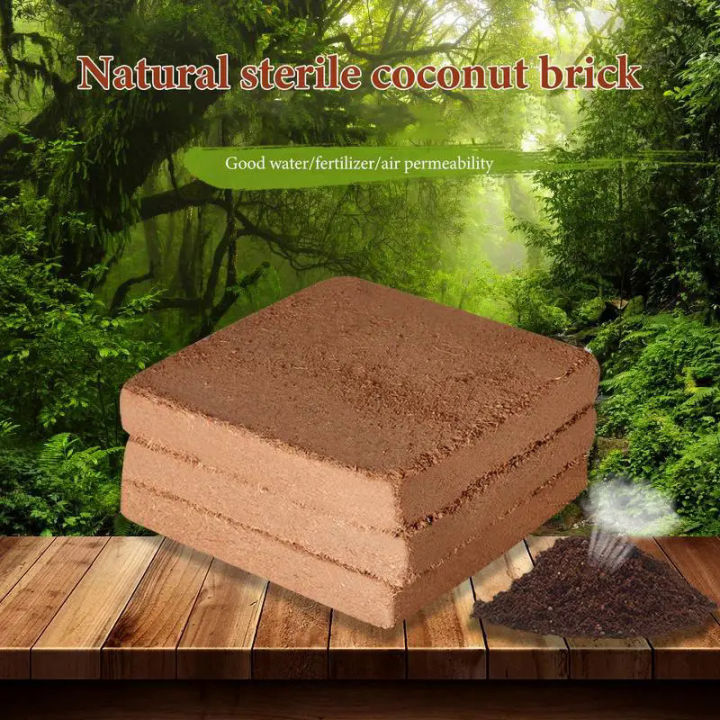 Coconut Coir Bricks Organic Coconut Bricks Plants Compressed Gardening ...