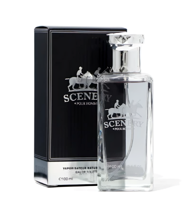 PERFUME FOR MEN (SCENERY) POUR HOME 100ML LONG LASTING | Lazada PH