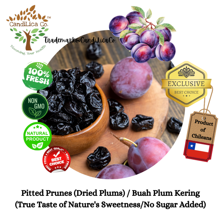 Pitted Prunes | CandiLica Co. | Premium Dried Plums Without Seeds | Buah Plum Kering | 250g/500g ...