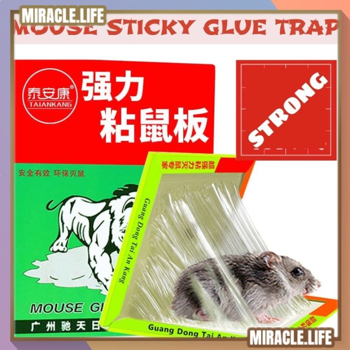 (1 PC) Sticky Rat Board Mouse & Rat Sticky Glue Trap Boards for Pest ...