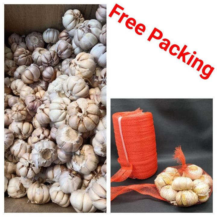 Bawang Putih Honan Bersih 500 G 1/2kilo Dijamin Fresh | Lazada Indonesia