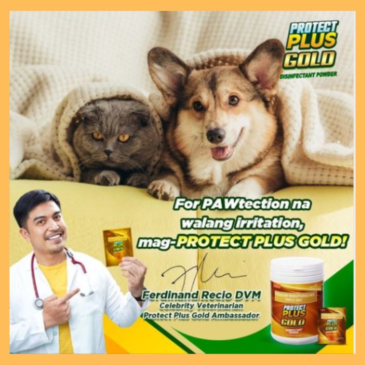 20g Protect Plus Gold Disinfectant Powder for piggery farm house ...