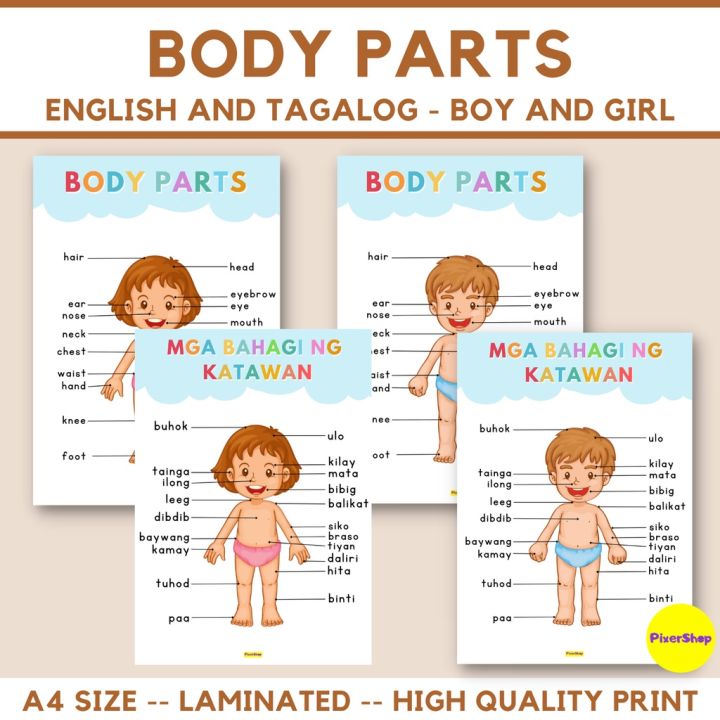 BODY PARTS LAMINATED EDUCATIONAL CHART TAGALOG A4 SIZE THICK | Lazada PH