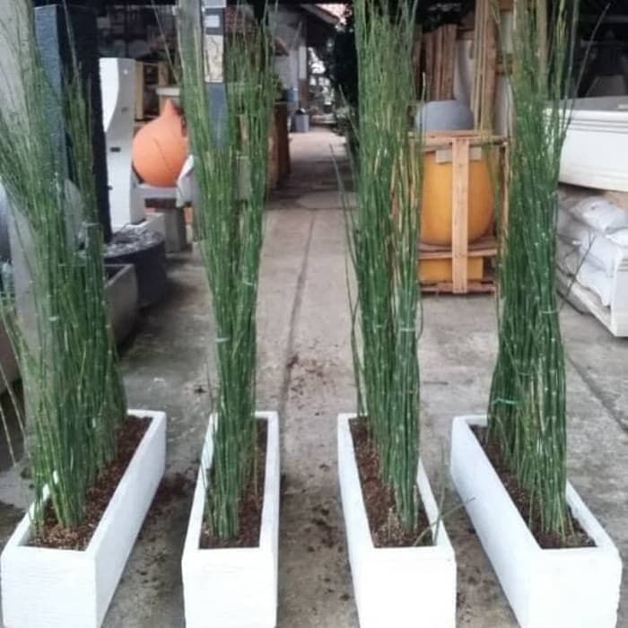 Pot Bunga Kotak Panjang Dan Bambu Ruas Terazzo | Lazada Indonesia