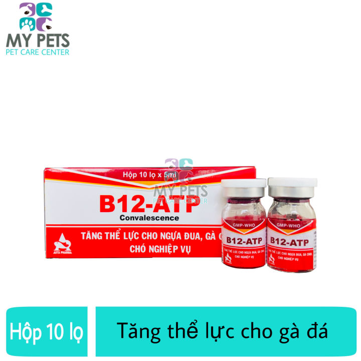 B12 ATP Thuốc nuôi tăng bo tăng thể lực hồi phục nhanh sau bệnh và sau ...