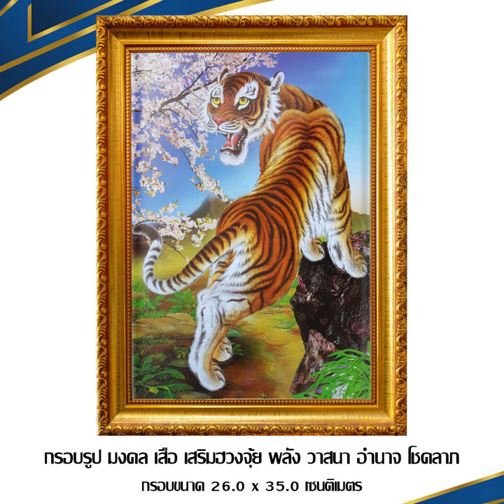 กรอบรูป มงคล เสือ เสริมฮวงจุ้ย พลัง วาสนา อำนาจ โชคลาภ/ งานมงคล / กรอบขนาด 26.0 x 35.0 เซนติเมตร ...