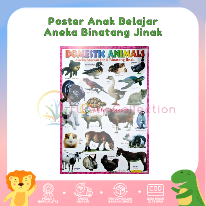 Poster Anak Belajar Aneka Binatang Jinak | Lazada Indonesia Poster Anak Belajar Aneka Binatang Jinak | Lazada Indonesia