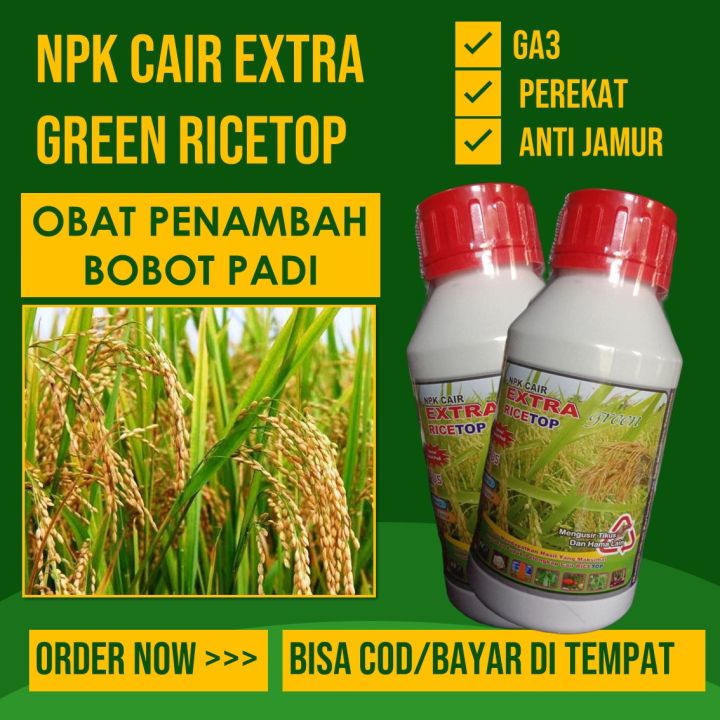 665bet paga Kekuatan Padi dengan🥩 Experimente a adrenalina ao jogar ...