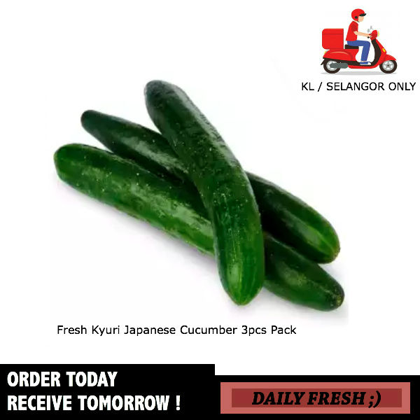 Fresh Kyuri Japanese Cucumber Timun 3pcs Pack Fresh Vegetables | Lazada